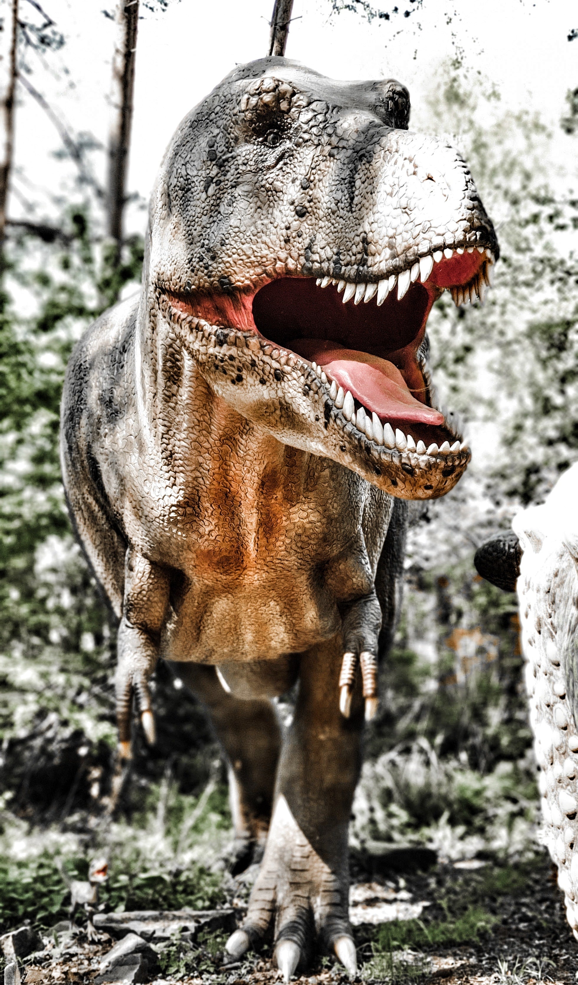 Tyrannosaurus Rex